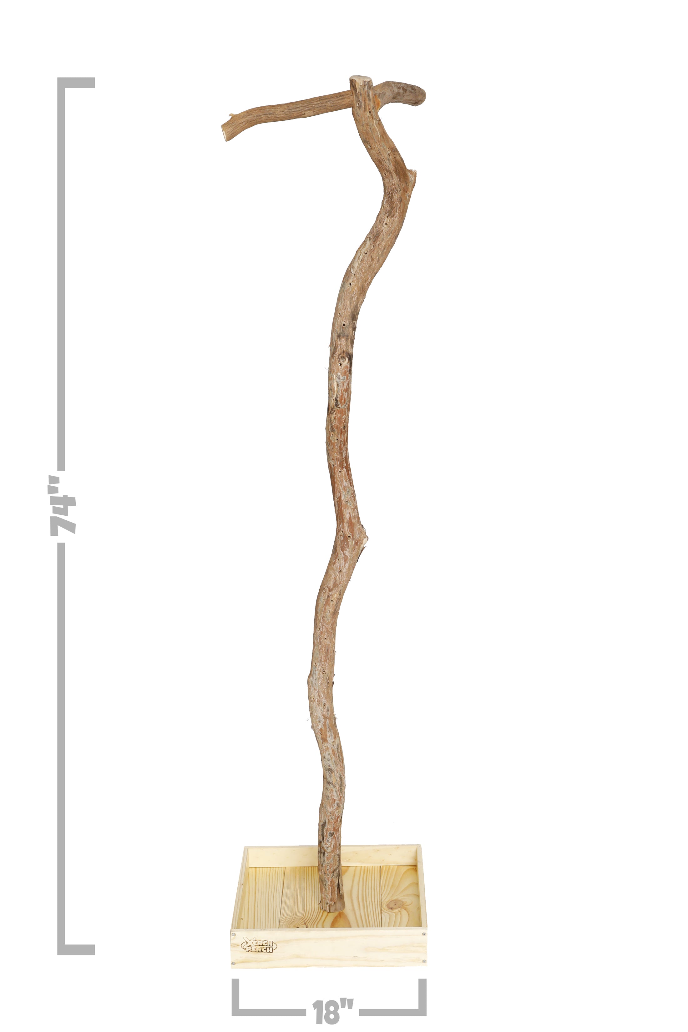 Natural DragonWood Parrot Stand Perch - Extra Tall – The Parrot Mom, LLC