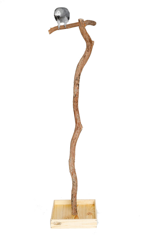 Natural Dragon Wood Parrot Tree Stand Perch - Extra Tall – The Parrot ...